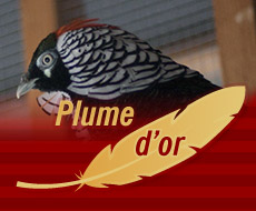 Le faisan - Variétés et mutationss - Plume d'or